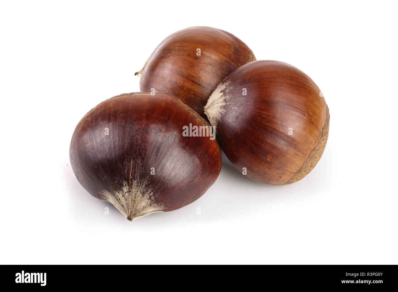 fresh edible chestnut isolated on white background Stock Photo - Alamy