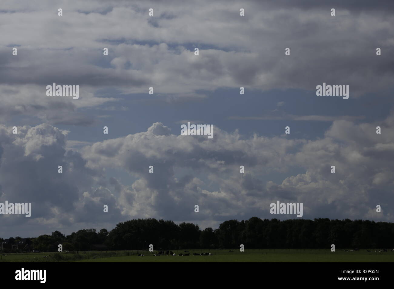 Many different kinds of clouds to spot in the sky Stock Photo - Alamy