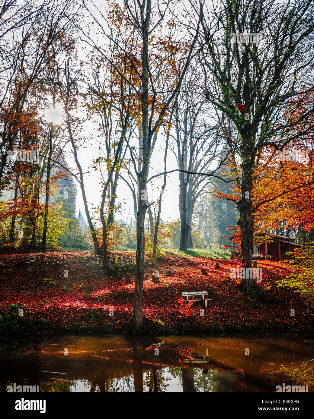 White Bridge near lake in fall close to Castle Spielfeld, Austria Stock ...