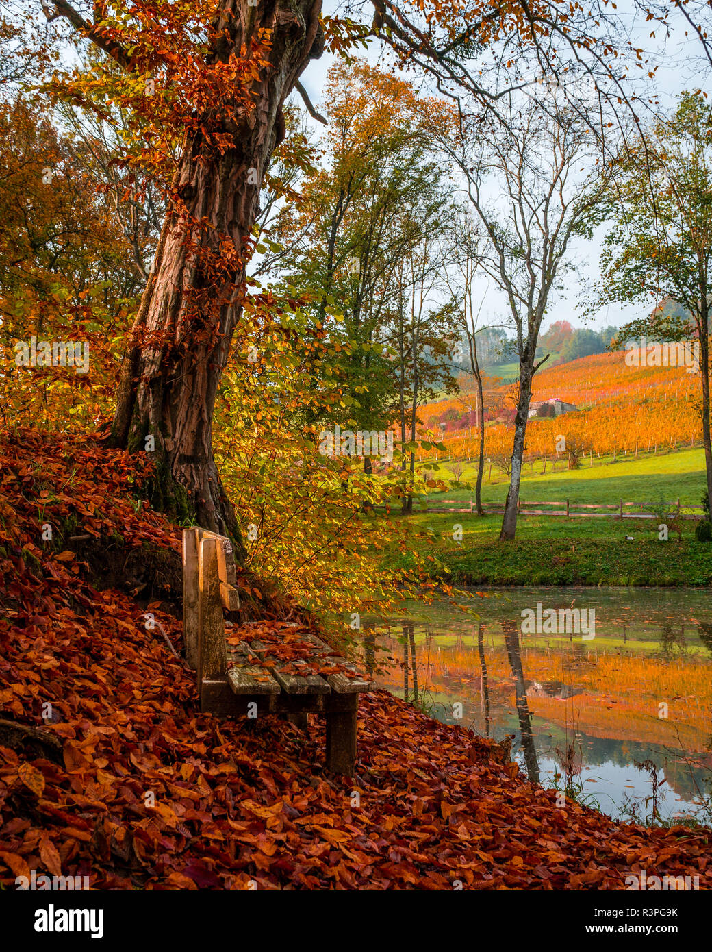 Spielfeld castle hi-res stock photography and images - Alamy