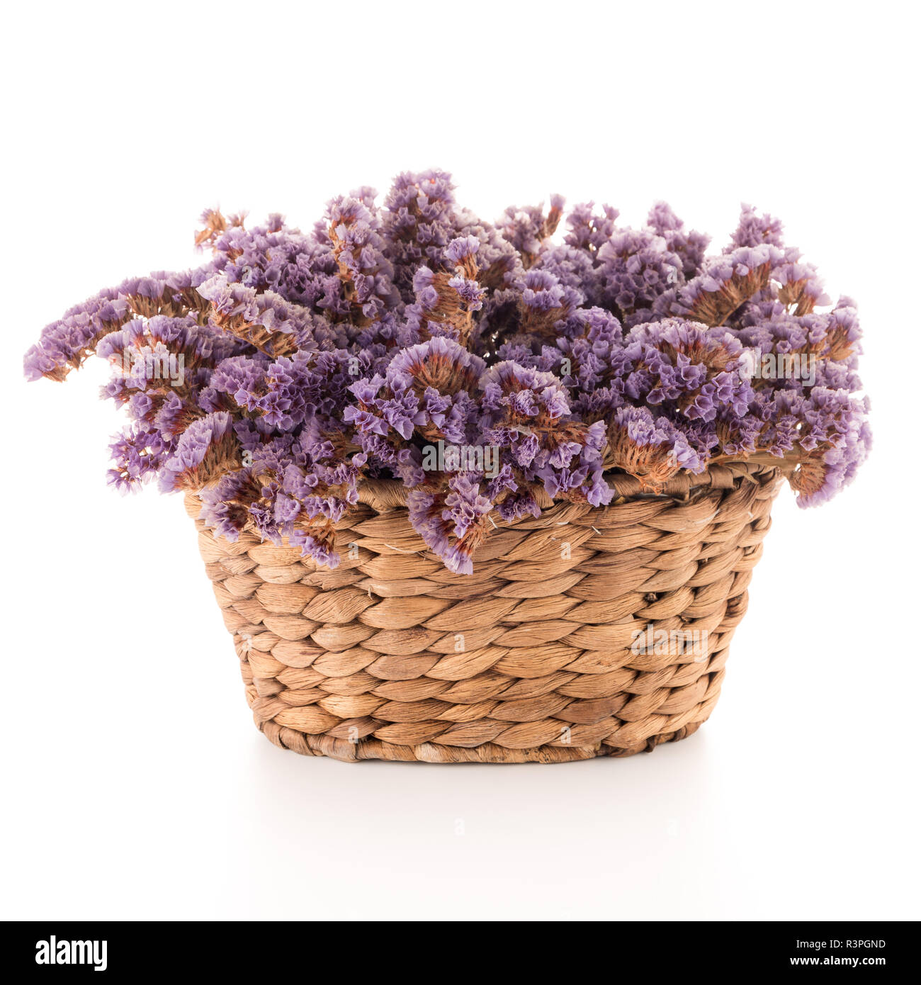 Basket with purple flowers isolated on white background Stock Photo - Alamy