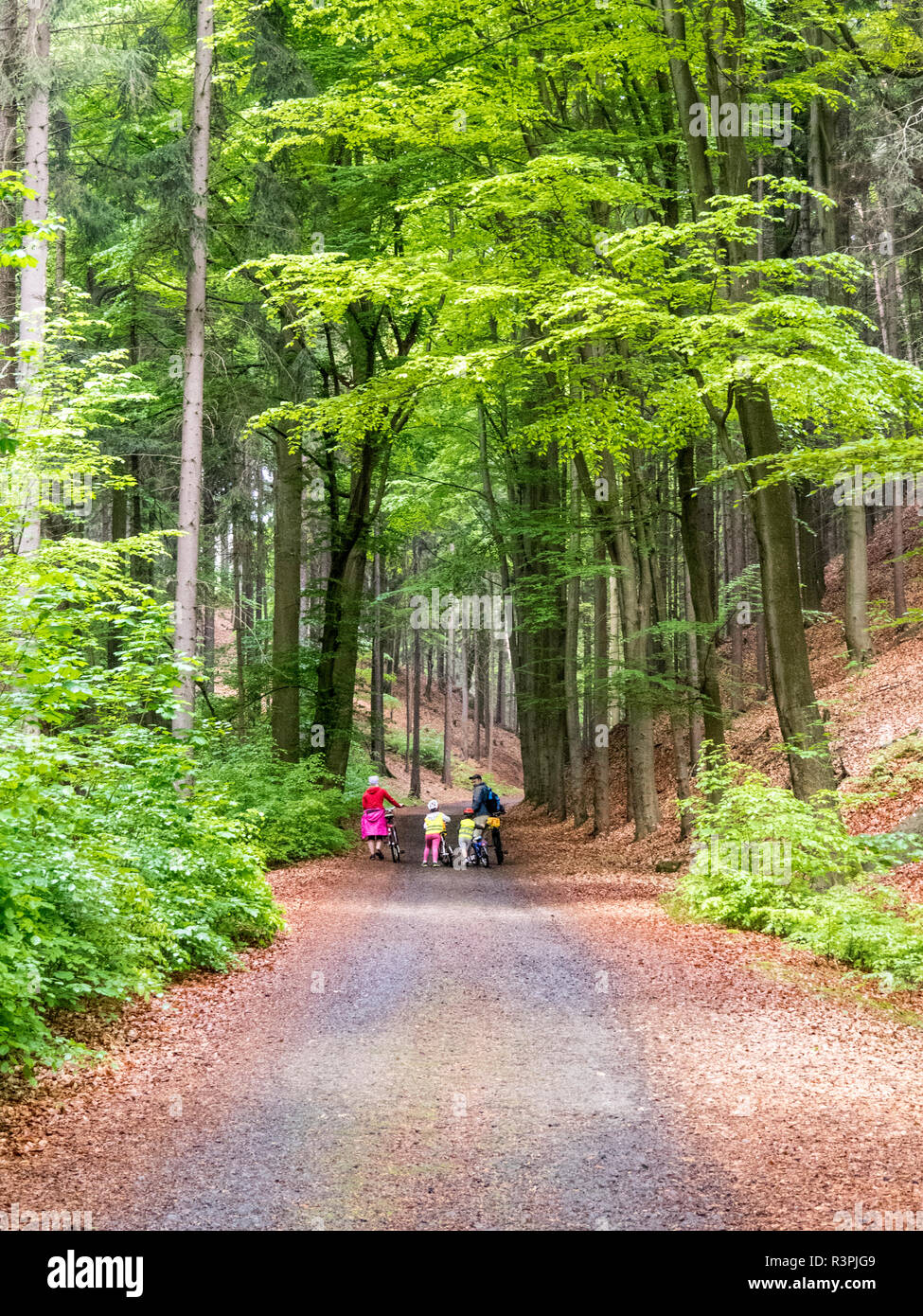 Czech Republic. Walking trails in the Cesky Raj region of the Bohemian ...