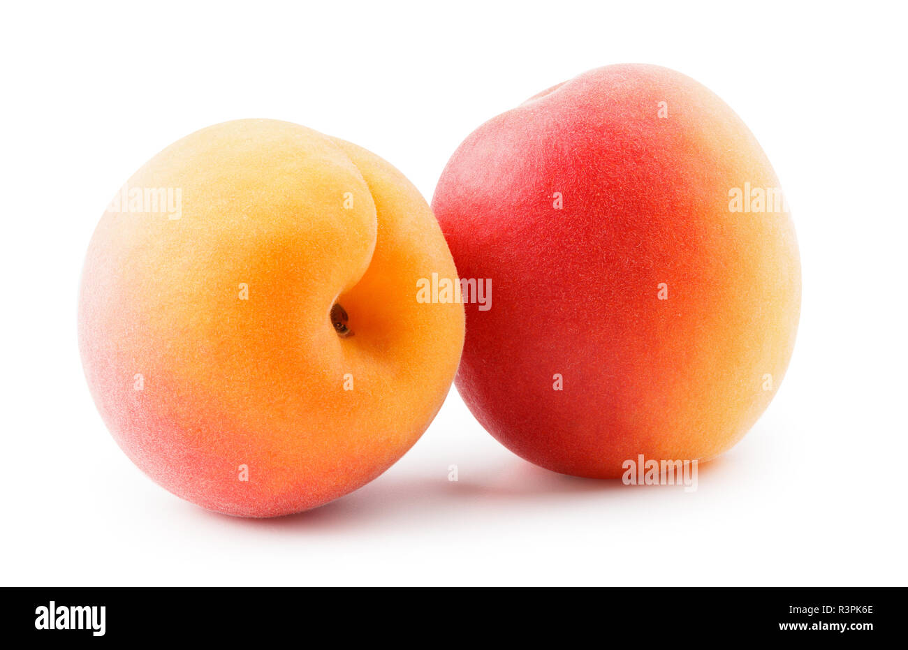 Two ripe apricots isolated on white background Stock Photo - Alamy