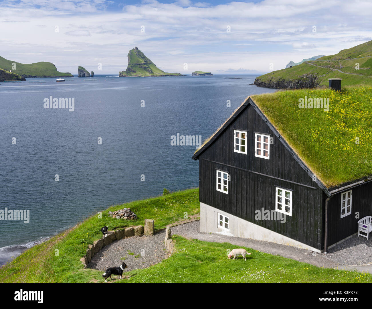 Bour (Boeur), A Traditional Village At Sorvagsfjordur. Island Vagar ...