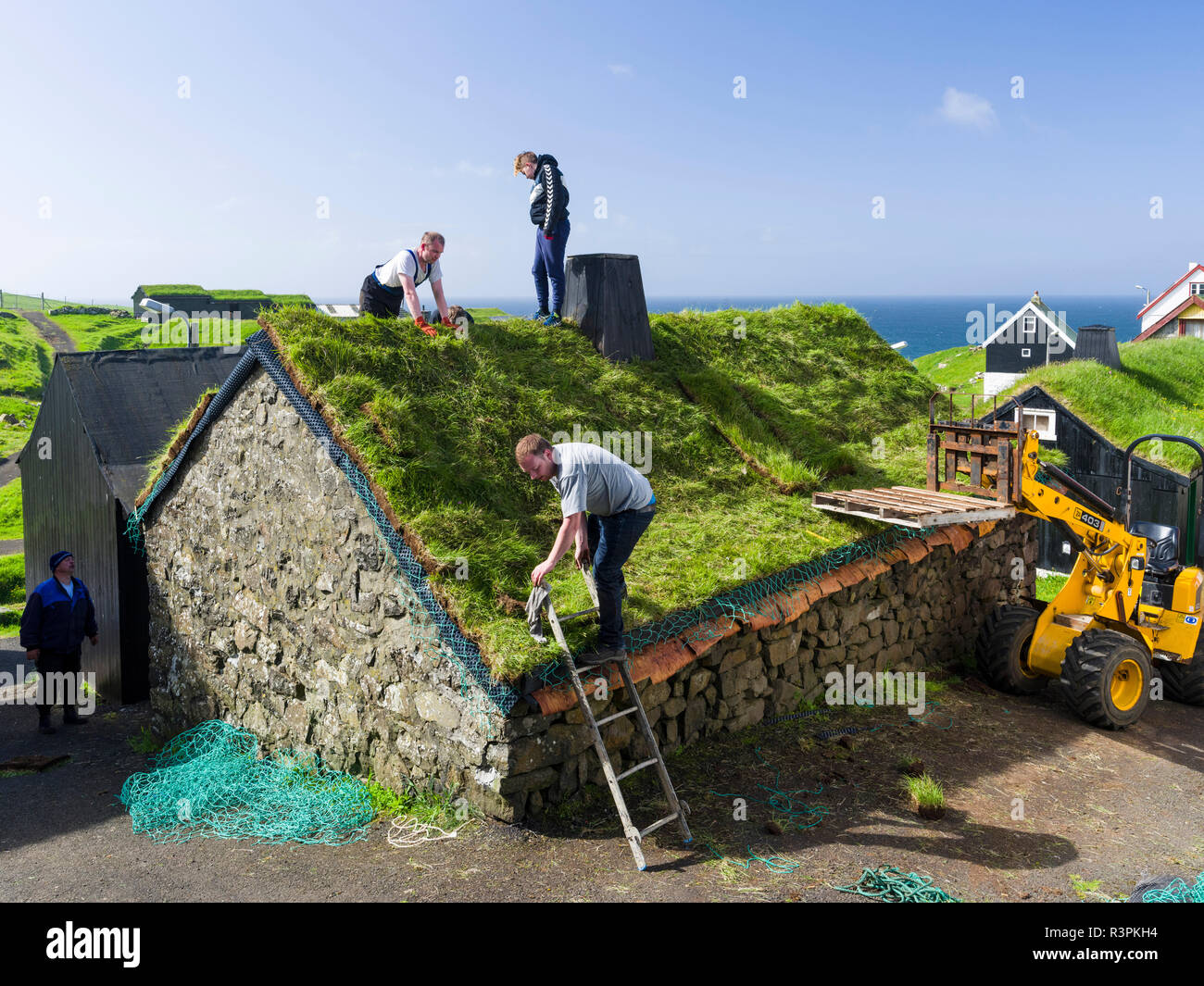 Traditional Roofing With Sod. The Village On Island Mykines, Part Of ...