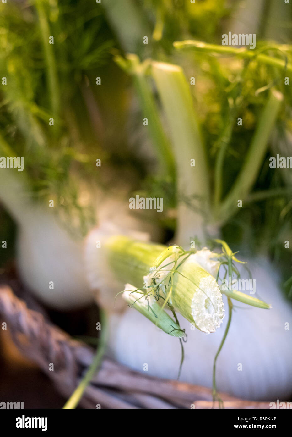Healthy Foods High Resolution Stock Photography and Images - Alamy