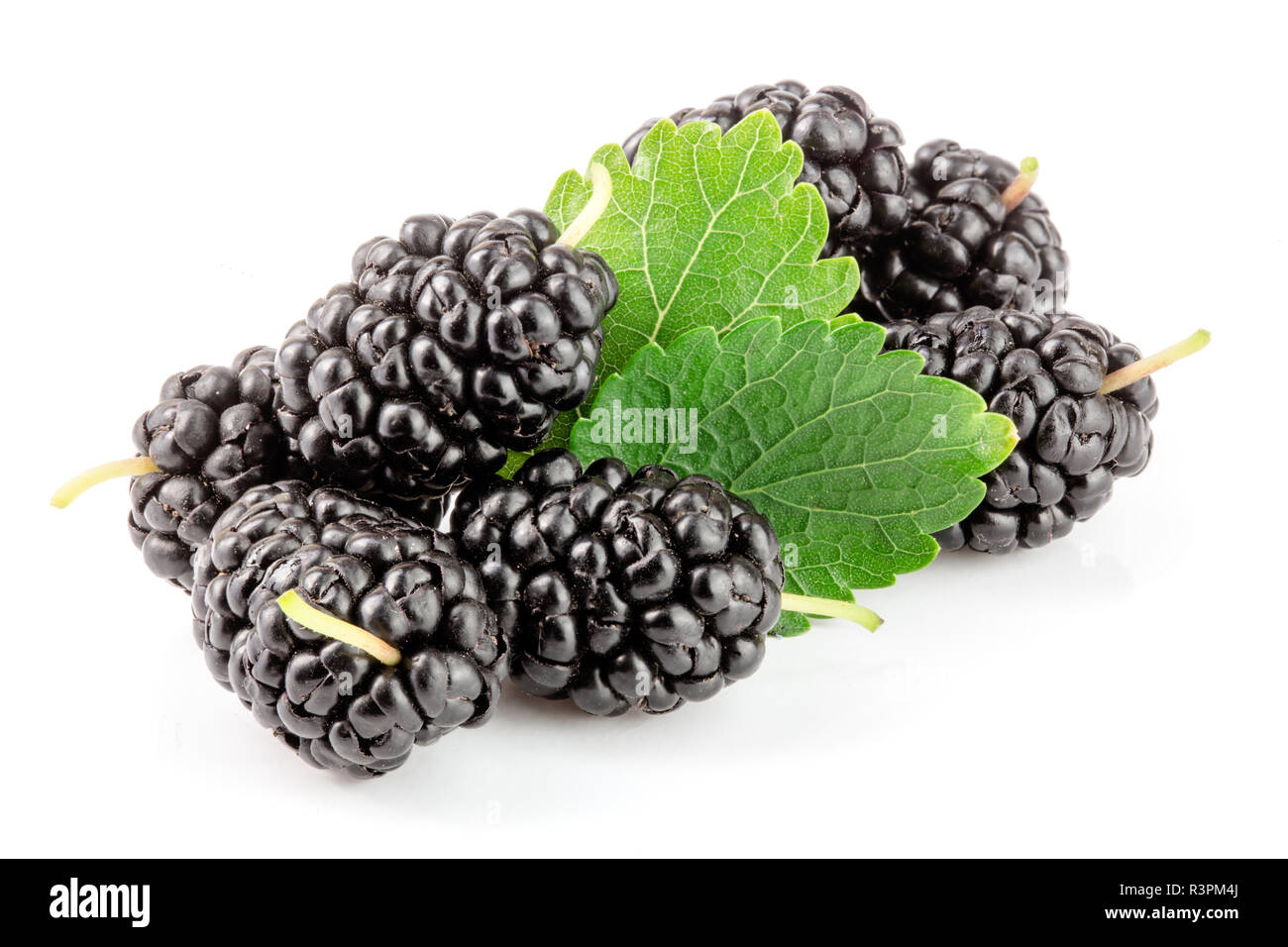Mulberry berry with leaf isolated on white background Stock Photo - Alamy