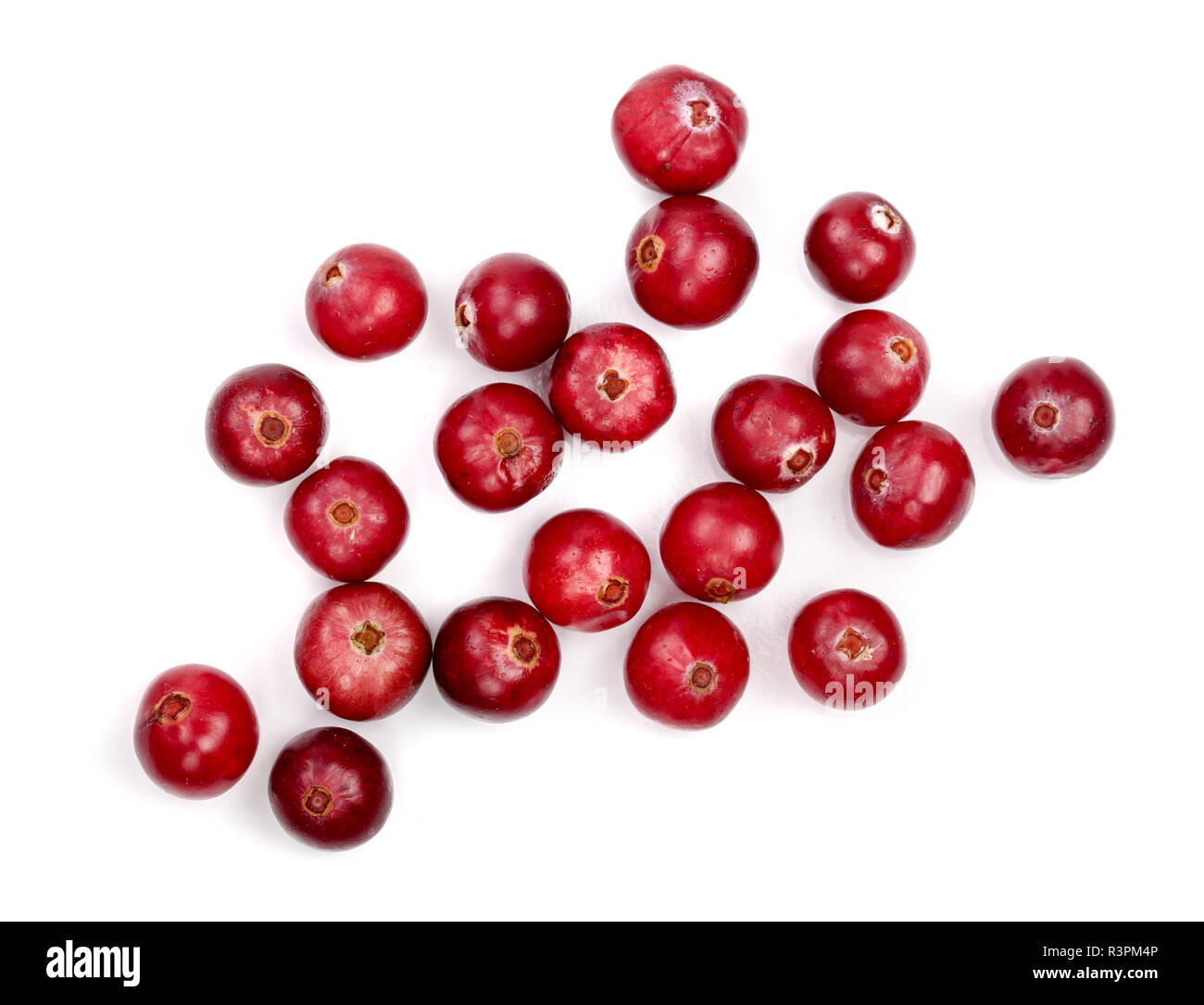 Cranberry isolated on white background closeup top view Stock Photo - Alamy