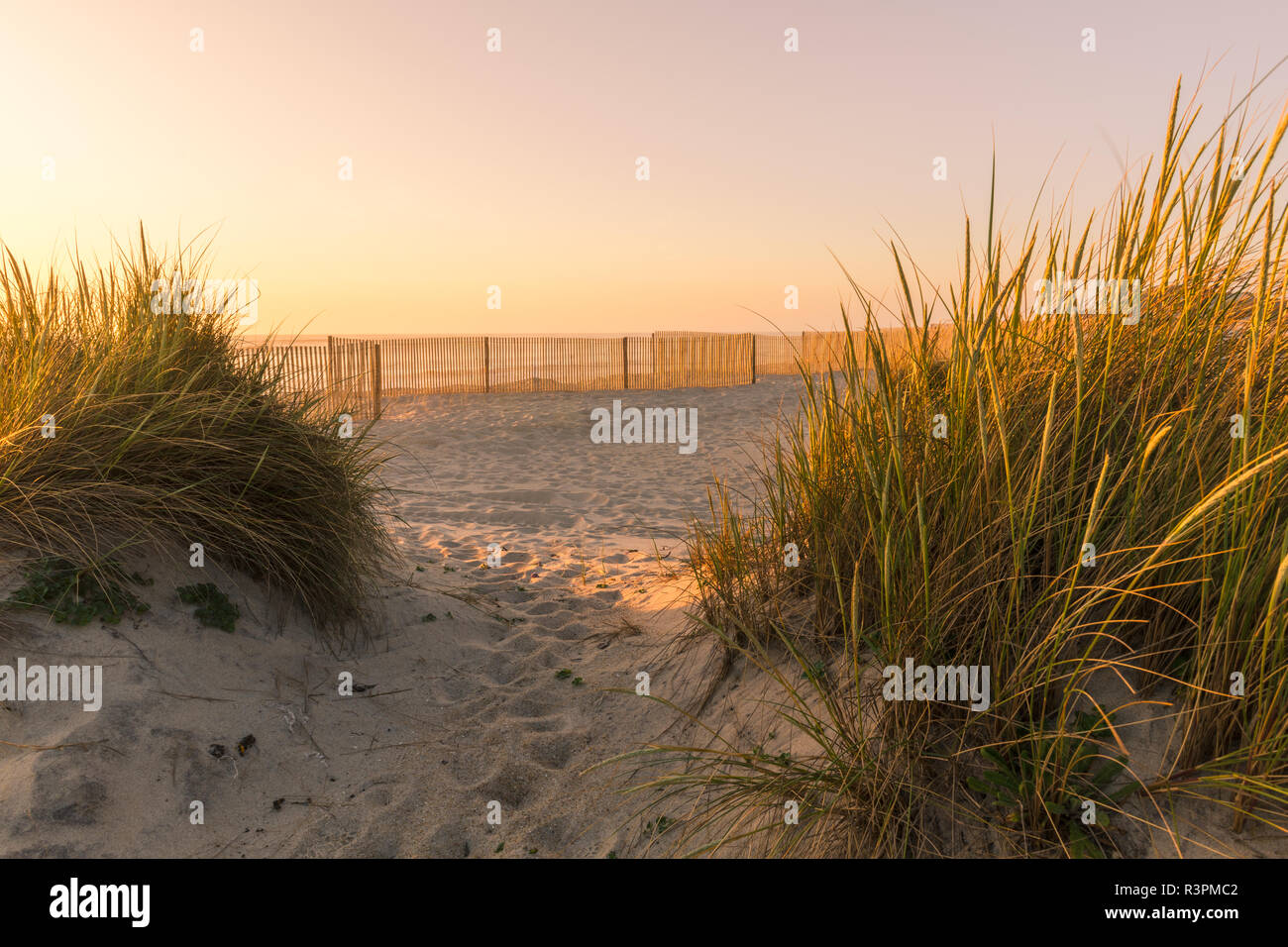 Landscape of Furadouro beach, Portugal at sunset Stock Photo - Alamy