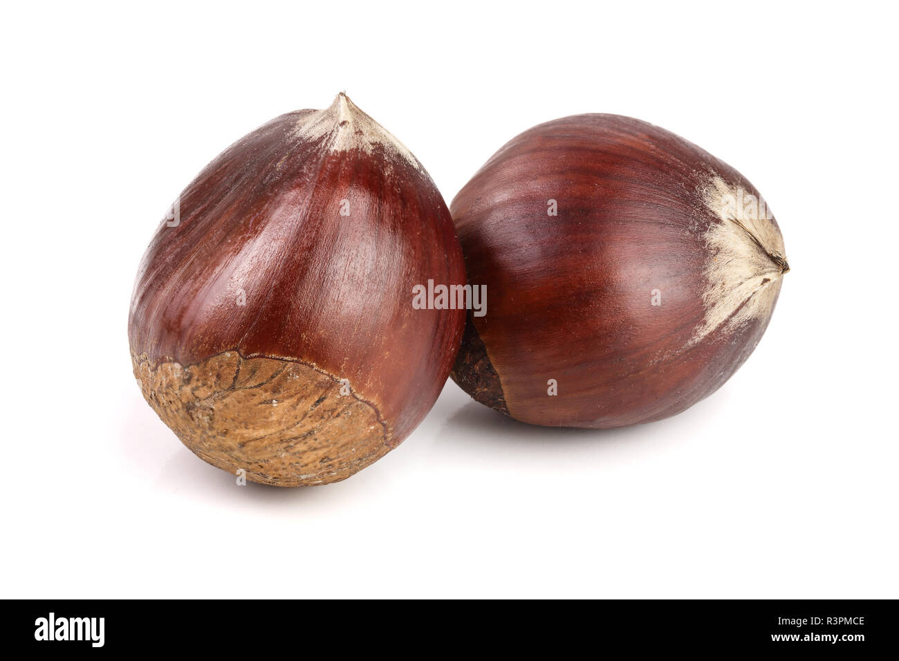 fresh edible chestnut isolated on white background Stock Photo - Alamy