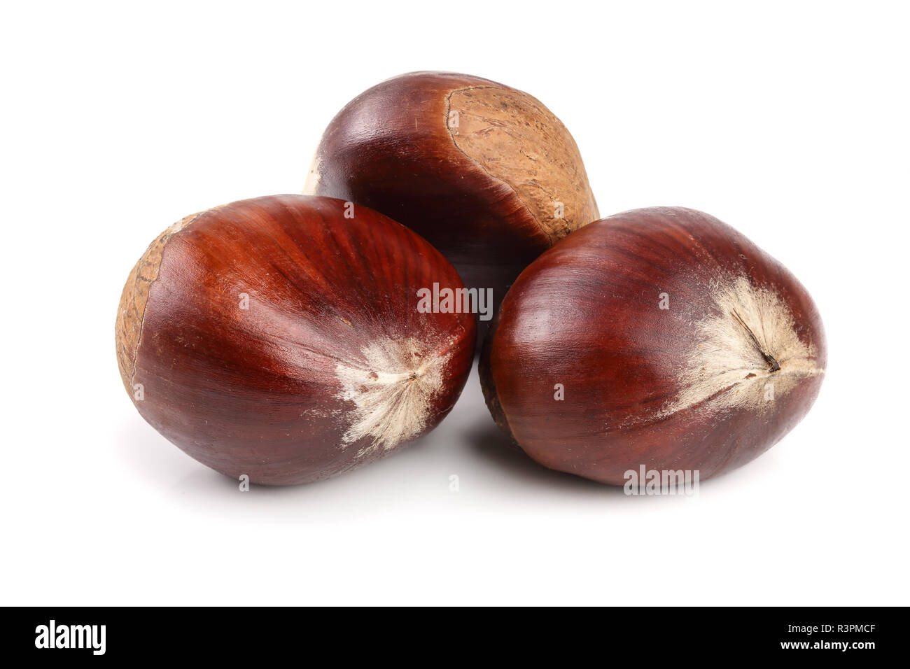 fresh edible chestnut isolated on white background Stock Photo - Alamy