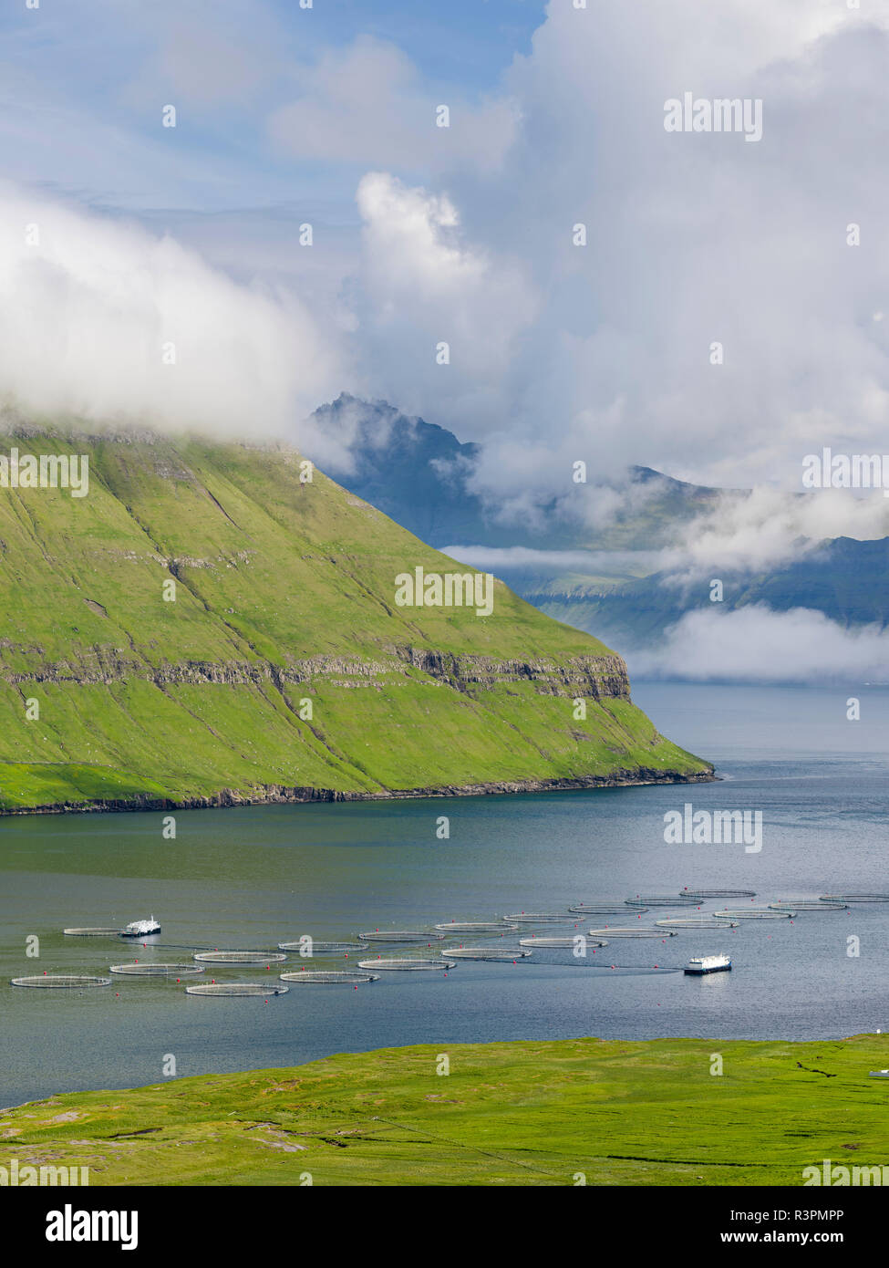 Fish farming in fjord Oyndarfjordur, in the background the mountains of ...