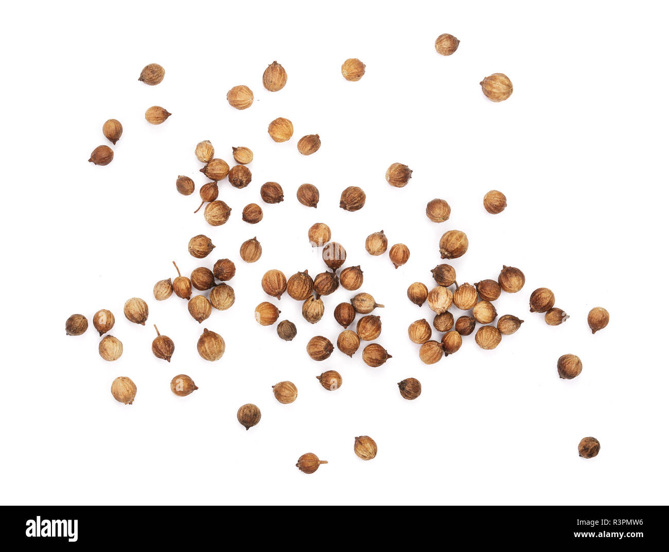 Coriander grains hi-res stock photography and images - Alamy