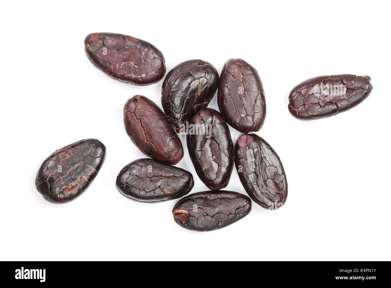 cocoa bean isolated on white background close-up top view Stock Photo ...