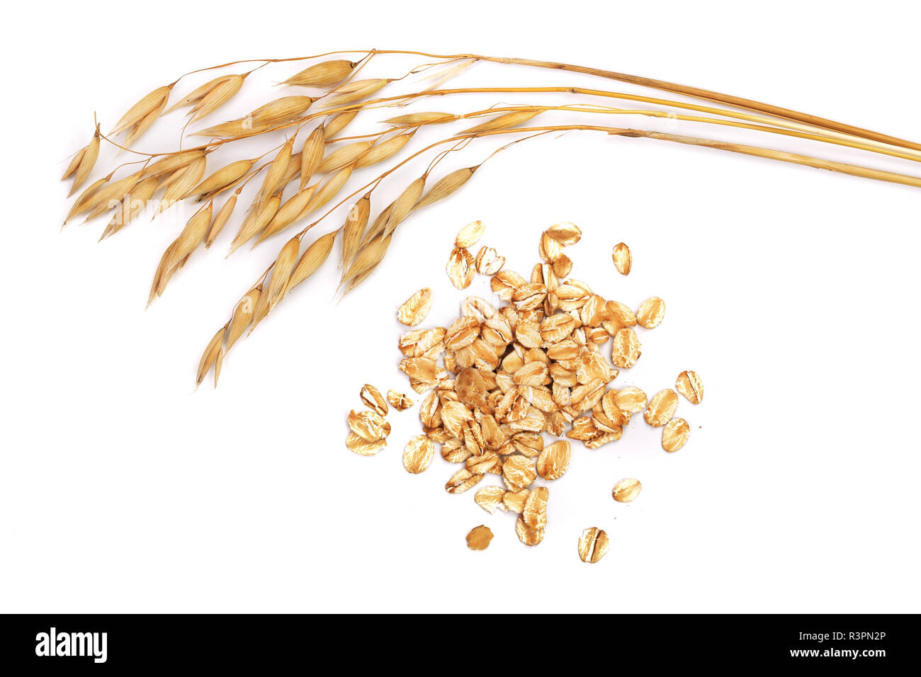 oat spike with oat flakes isolated on white background Stock Photo - Alamy