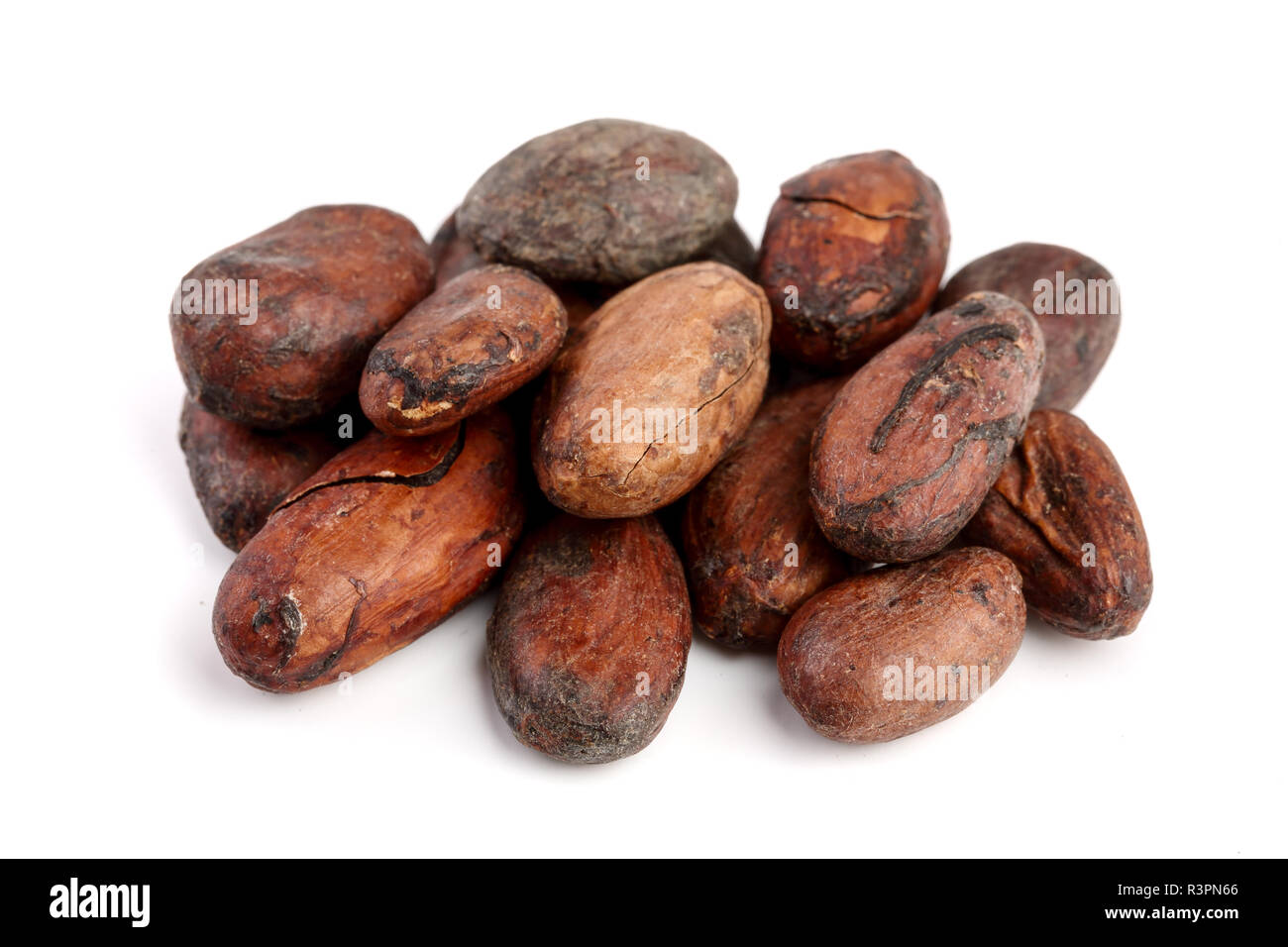 unpeeled cocoa bean isolated on white background macro top view Stock ...