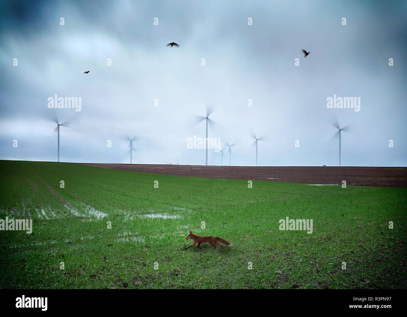 Postapocalyptic landscape hi-res stock photography and images - Alamy