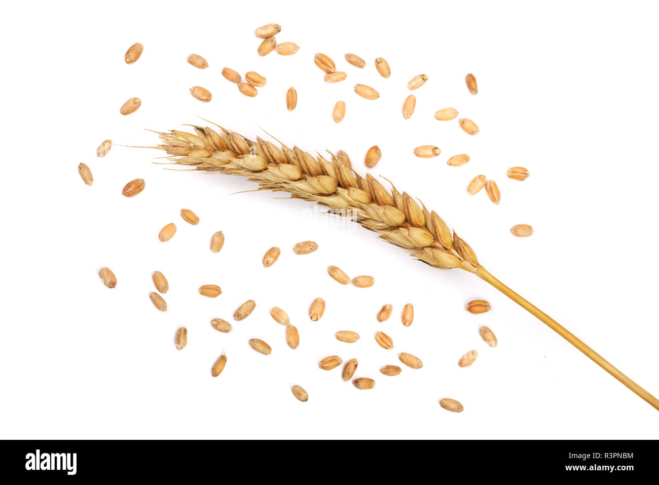 grain and ears of wheat isolated on white background. Top view Stock ...