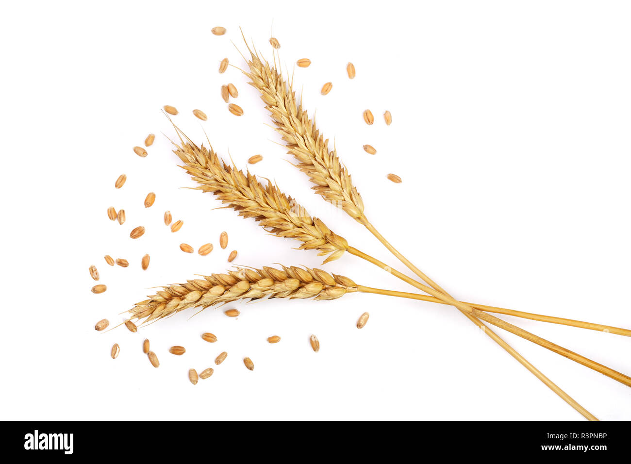 grain and ears of wheat isolated on white background. Top view Stock ...