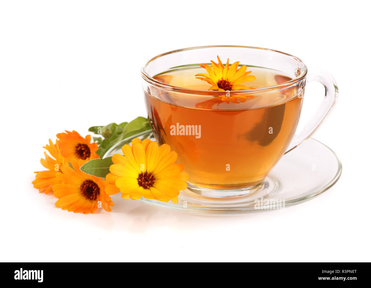 Calendula tea with fresh flowers isolated on white background Stock ...