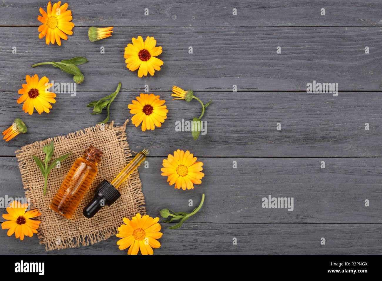 aromatherapy essential oil with marigold flowers on black background ...
