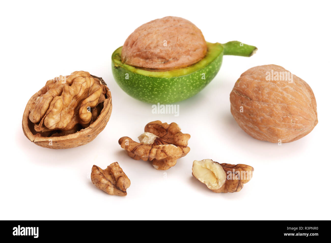 Seed dried pod husk hi-res stock photography and images - Alamy