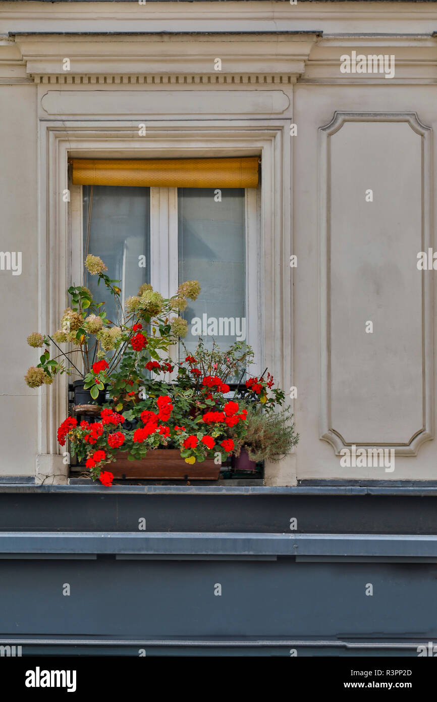 Rue cler, paris hi-res stock photography and images - Alamy