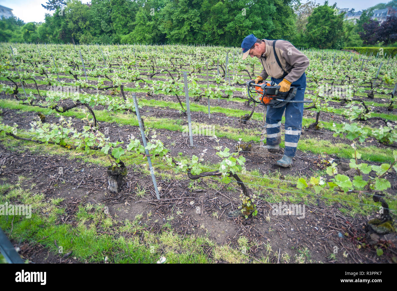 Mercier france hi-res stock photography and images - Alamy