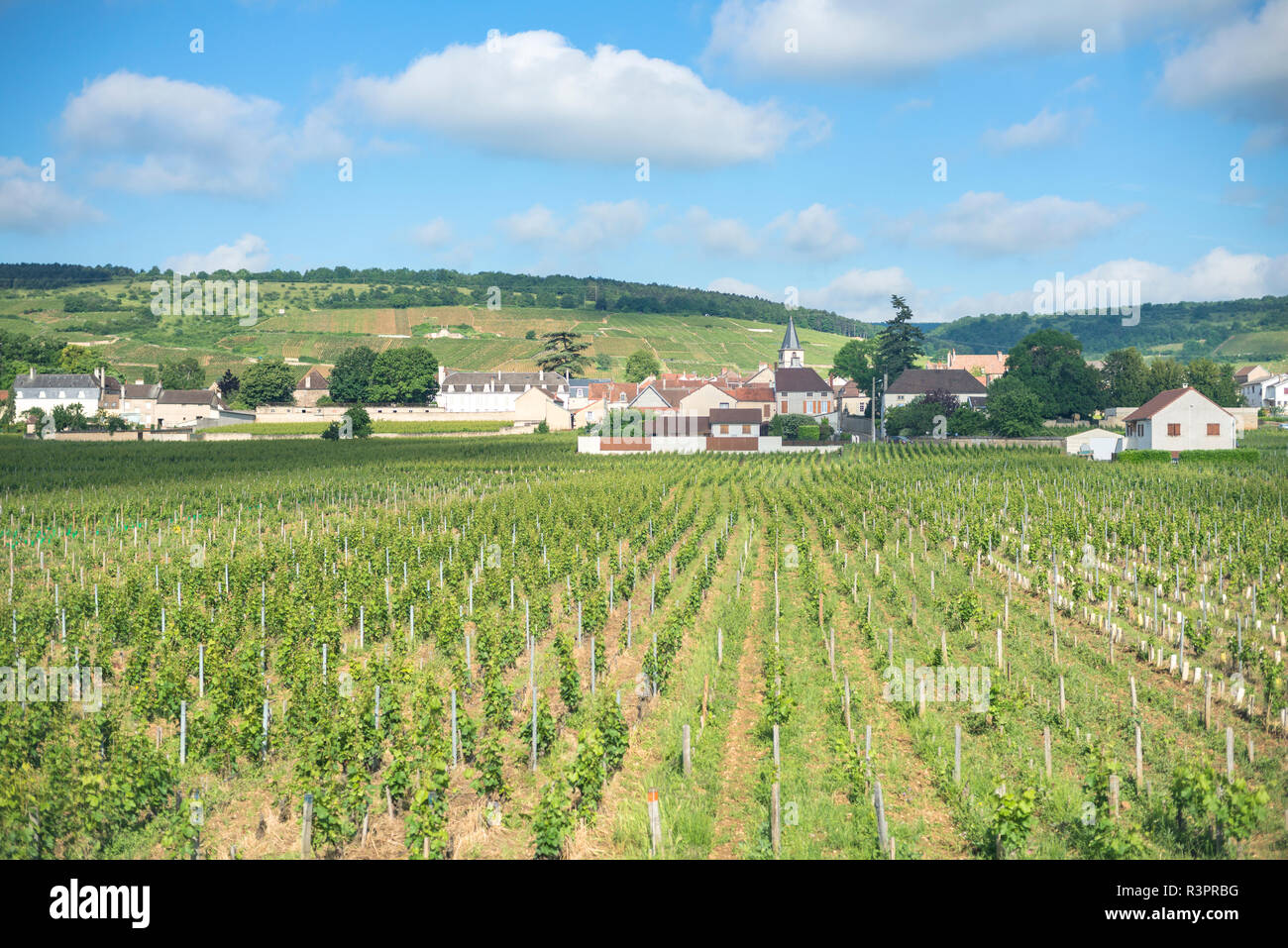 Village vineyard burgundy wine region hi-res stock photography and ...