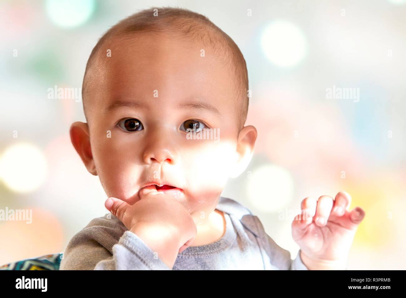 Cute baby boy with his finger in his mouth looking at the camera with ...