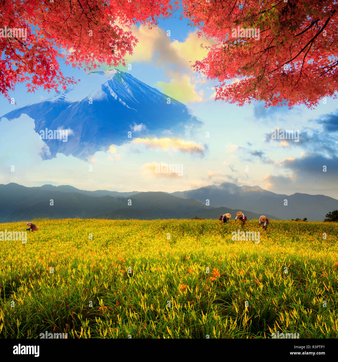 Blue winter cold ice firmament hi-res stock photography and images - Alamy