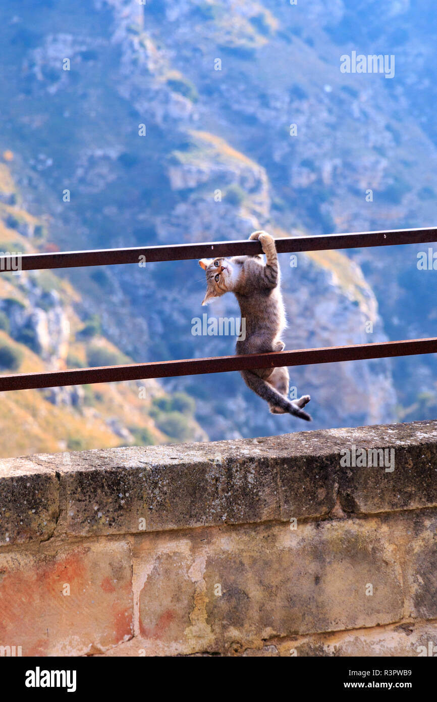 Hand railing hi-res stock photography and images - Alamy