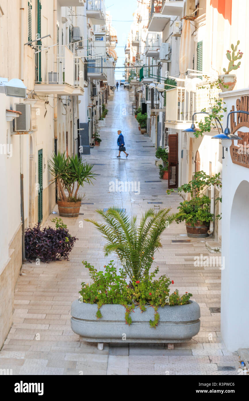 Italy, Foggia, Apulia, Gargano National Park, Vieste. Old city, narrow ...