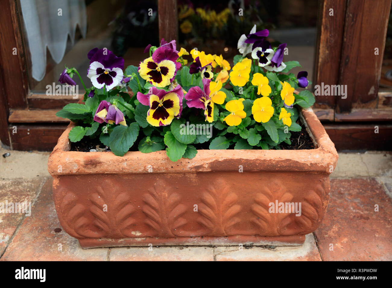 Italy, Monteriggioni. Outside residential planter box, terracotta with ...