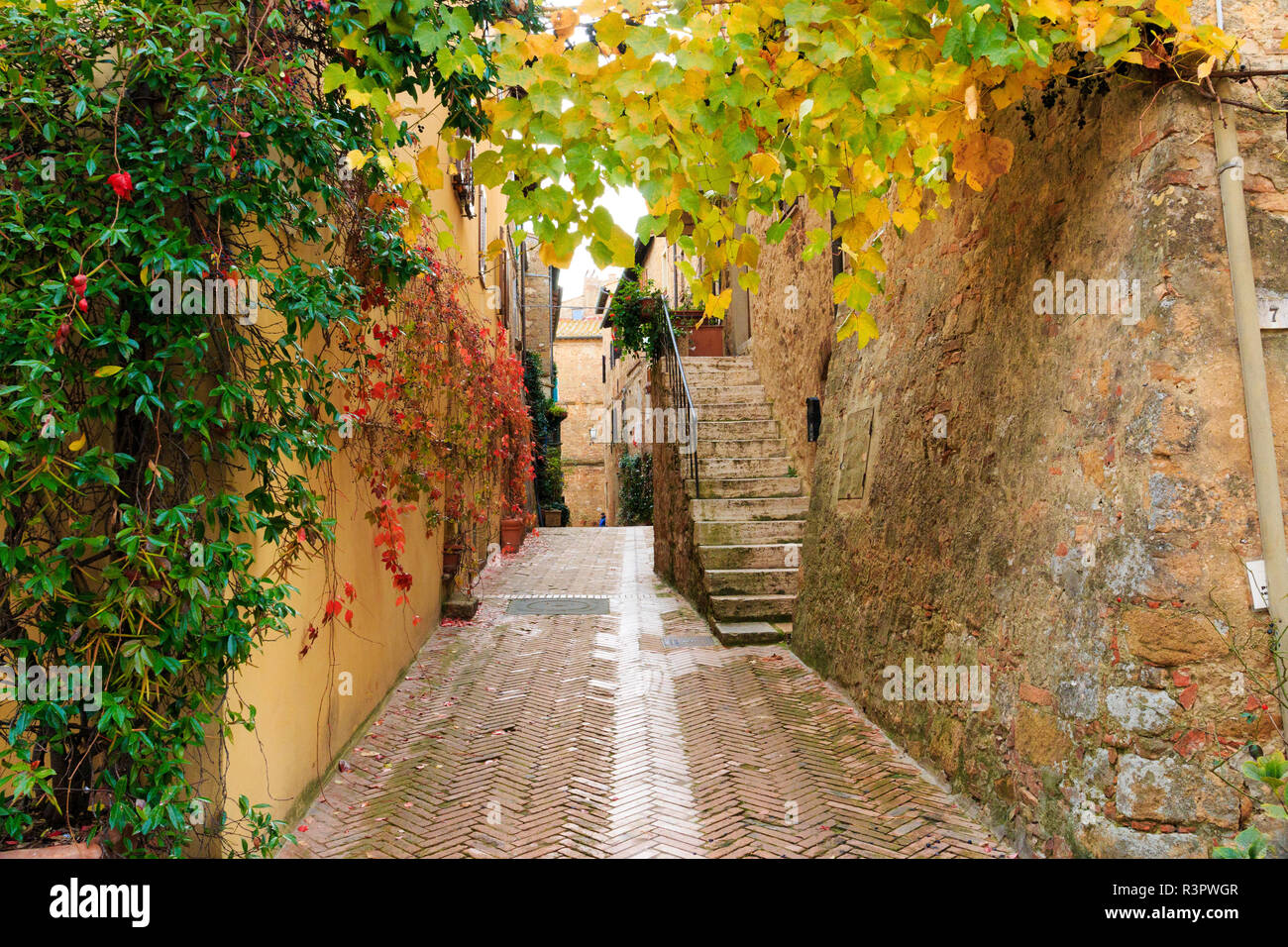 Italy, Tuscany, Siena, Chiusure. Hill town. Fall colors and narrow ...