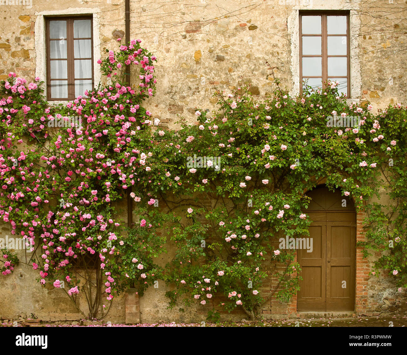 Flowers climbing wall italy hi-res stock photography and images - Alamy