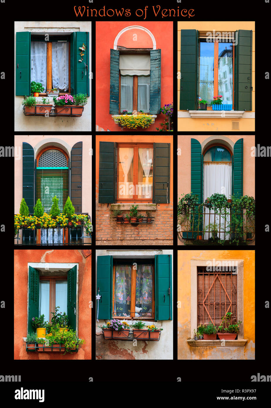 This poster features residential windows throughout Venice with flower ...