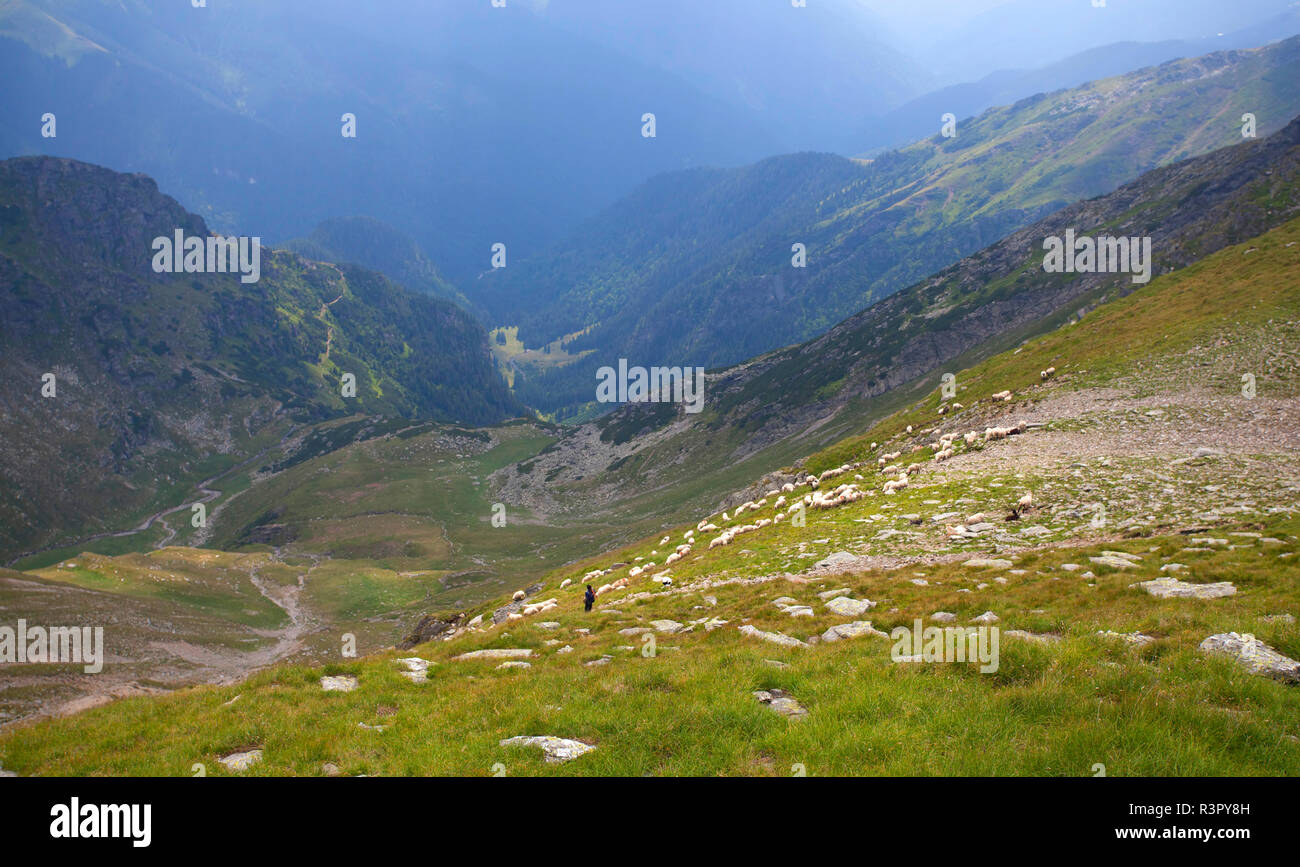 Landscape of Fagaras mountains in Romania Stock Photo - Alamy