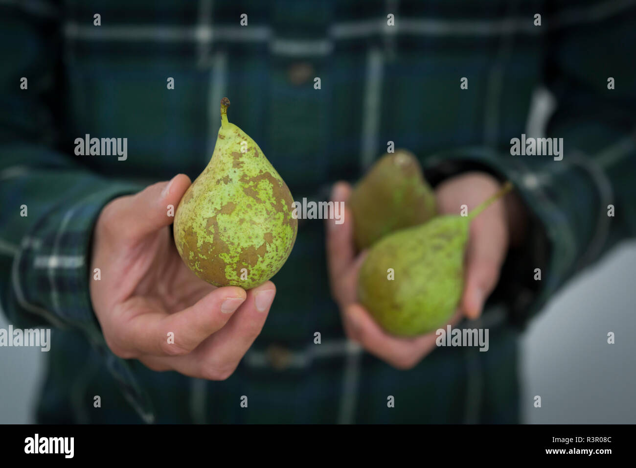 Studio photograph of pear hi-res stock photography and images - Alamy