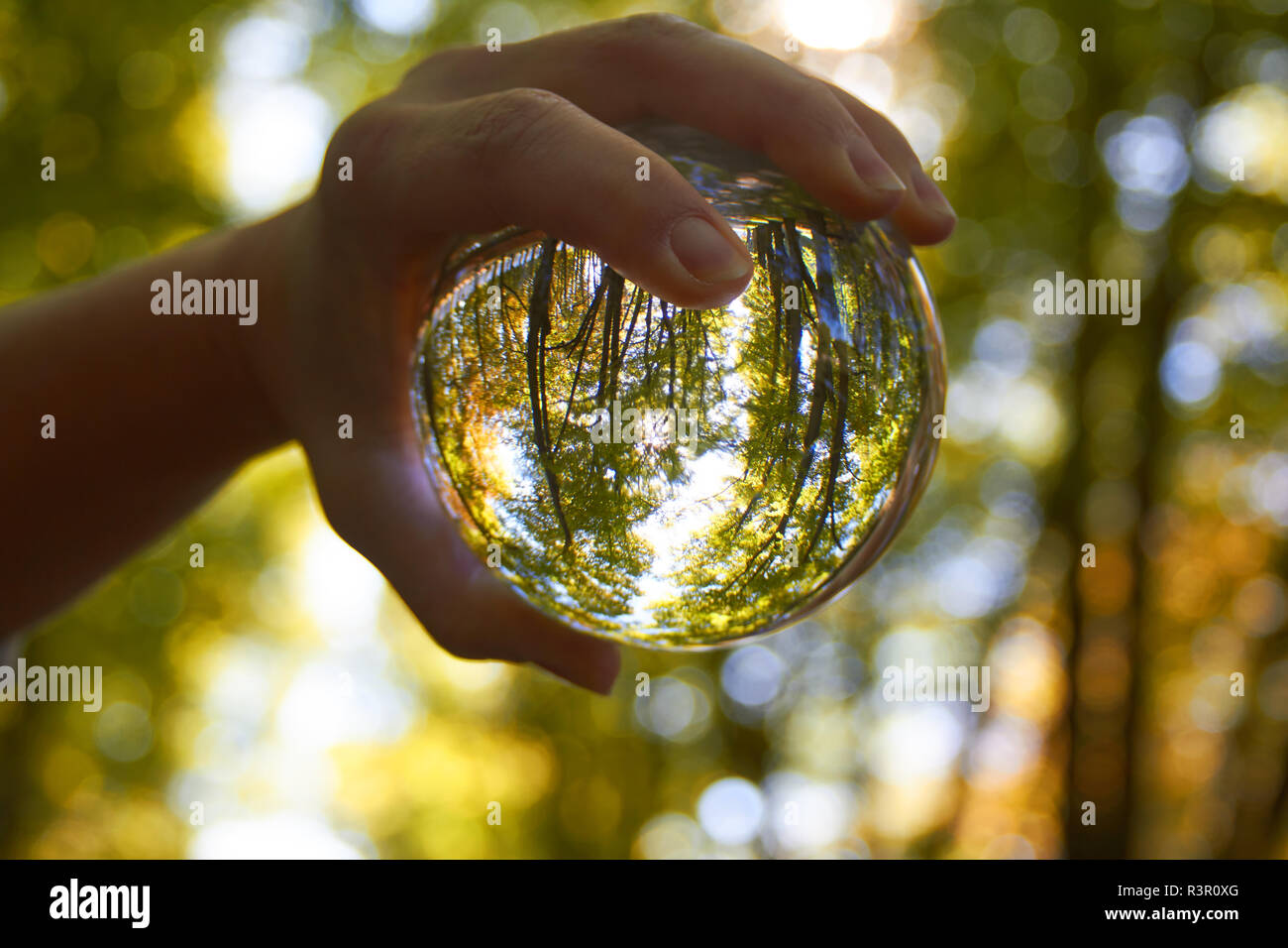 Future magic glass ball sorcery hi-res stock photography and images - Alamy