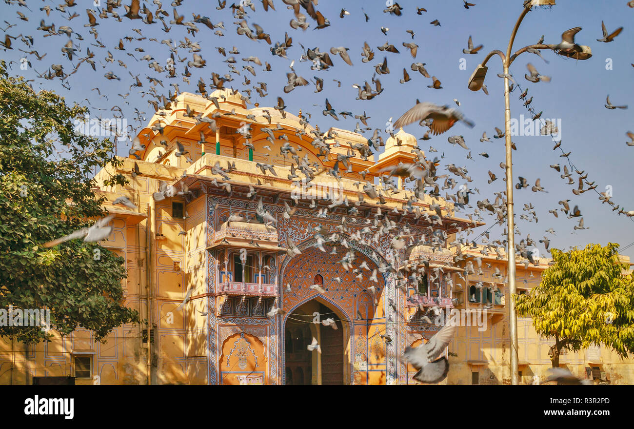 Pigeons flying gateway of india hi-res stock photography and images - Alamy