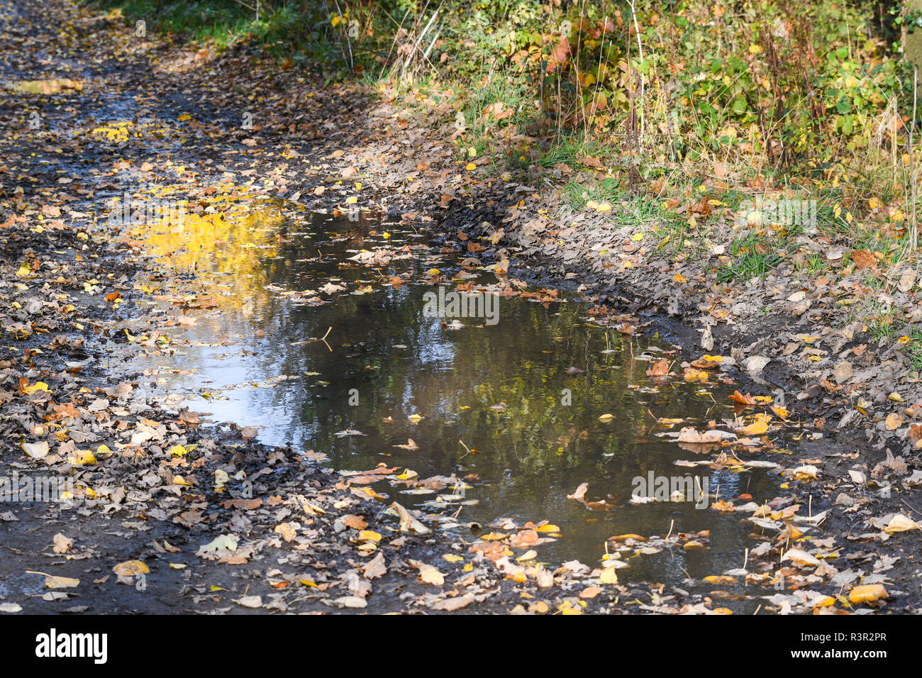 Rain puddle soil hi-res stock photography and images - Alamy