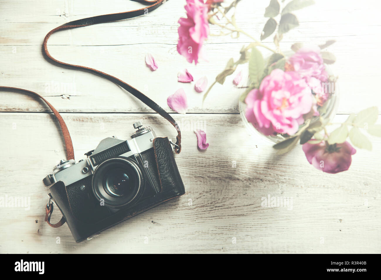 The brownie rose hi-res stock photography and images - Alamy