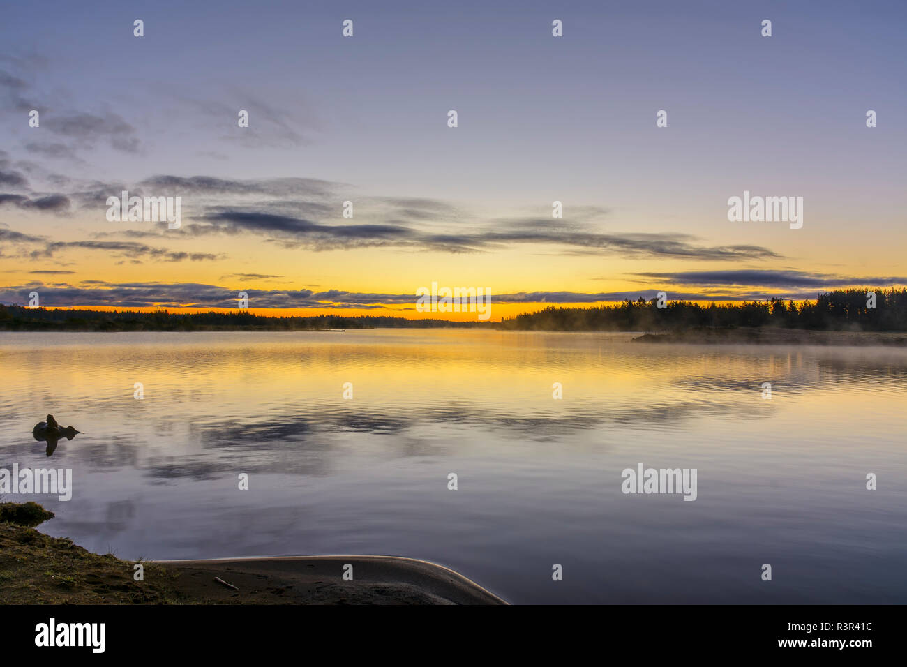 Early morning on the lake in the Leningrad region. Russia. Kirovsky ...