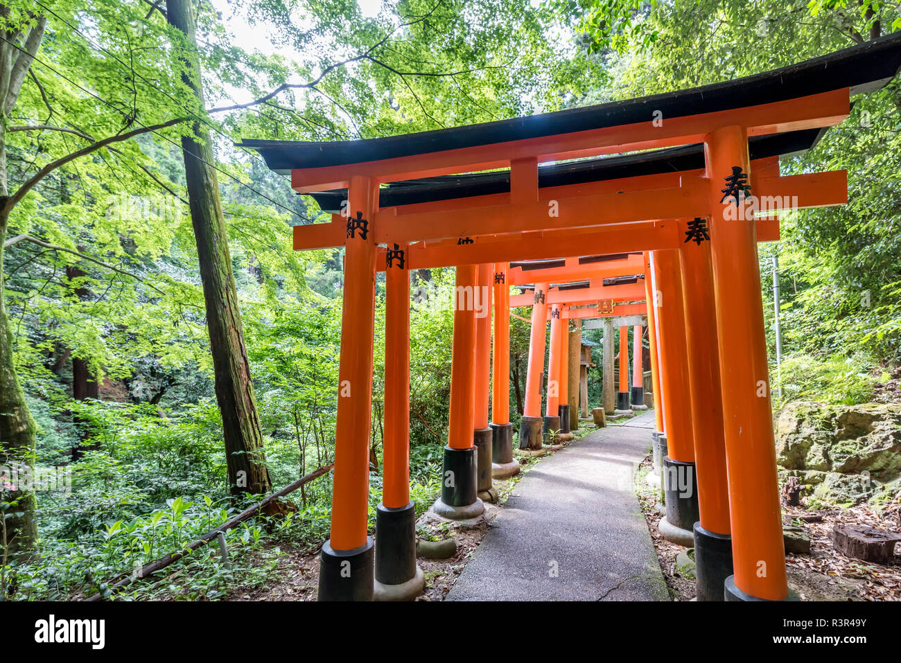 View to Torii gates in Fushimi Inari Shrine. Famous place in Kyoto ...