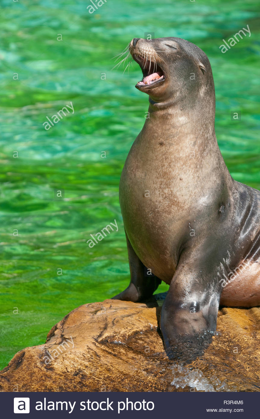 Uberleben High Resolution Stock Photography and Images - Alamy