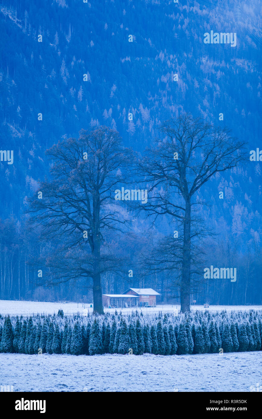 Austria, Tyrol, Stams, winter landscape Stock Photo - Alamy