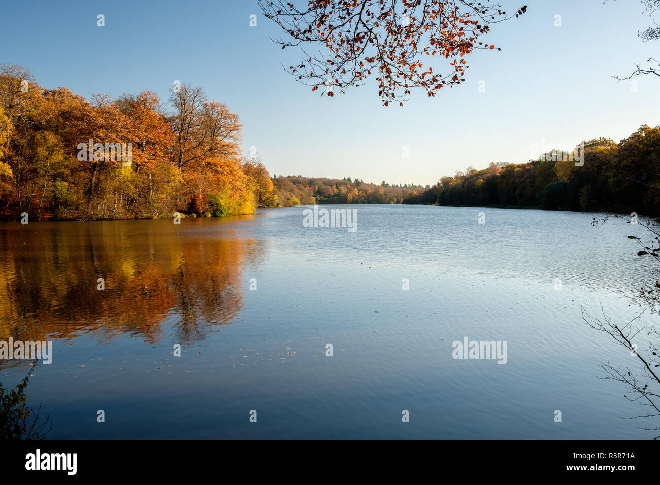 Virginia water lake lake hi-res stock photography and images - Alamy