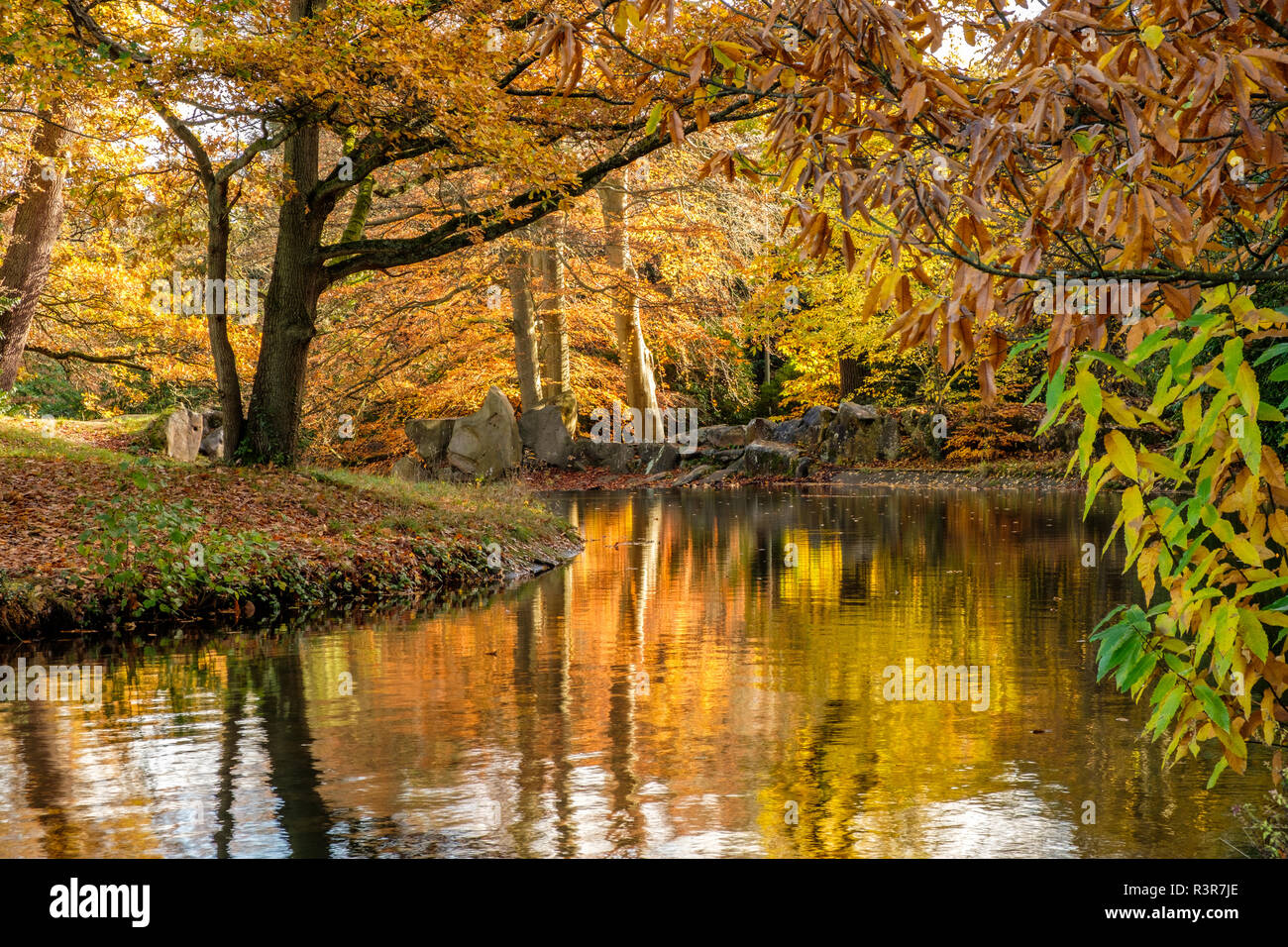Autumn Colours and Reflections at Virginia Water Lake Virginia Water ...