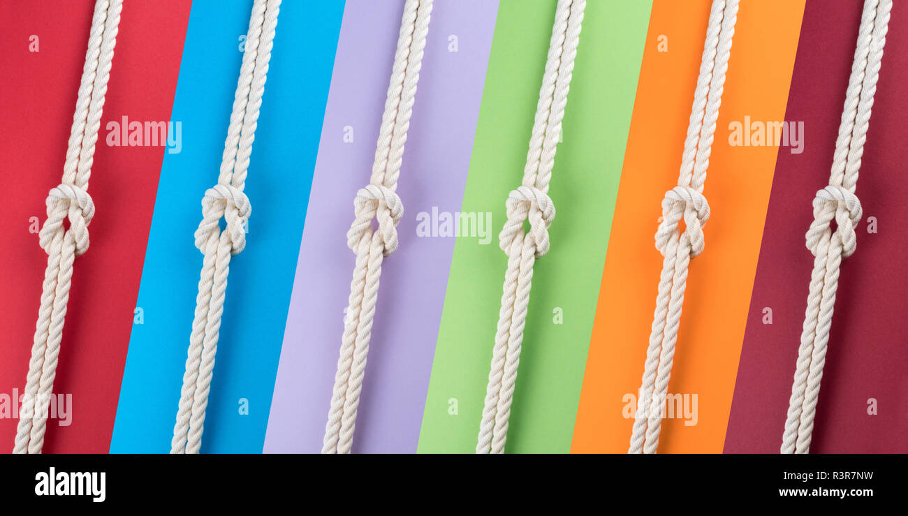 White ship ropes connected by reef knot on colored strips background ...